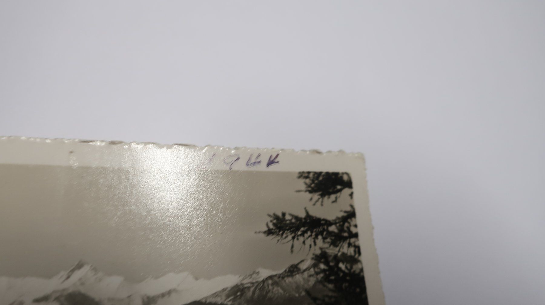 Flims-Waldhaus mit Piz Aul u. Piz Terri 1944 N° 2291 (Defekt) in ...