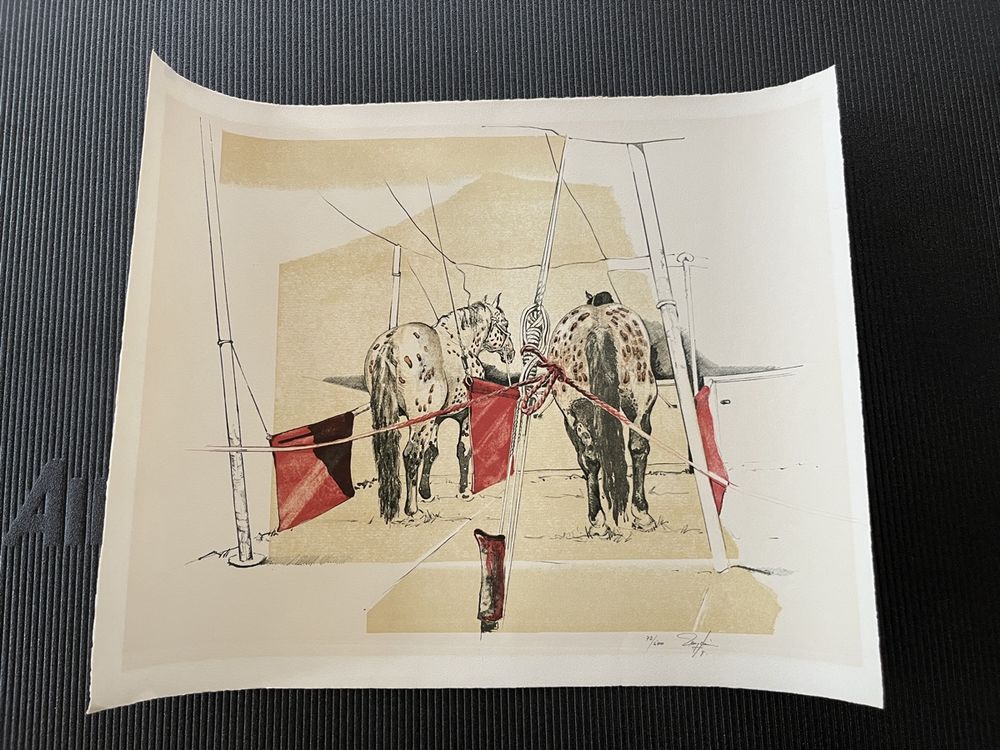 Rolf Knie Lithographie (Gebraucht) in Rämismühle für CHF 14 – mit Lieferung auf Ricardo kaufen