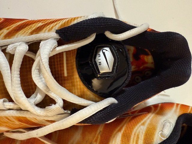 Nike Air Max Plus (TN)“Light Photography” Gr.43 (Gebraucht) in Baar für ...