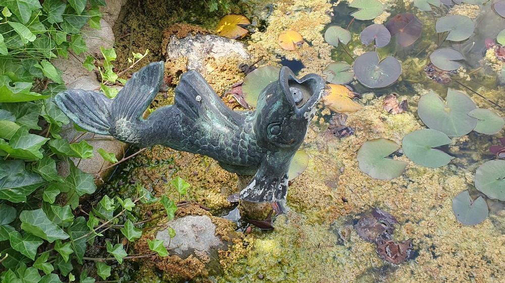 Fisch aus Bronze für Springbrunnen Speier (Gebraucht) in Winterthur für ...