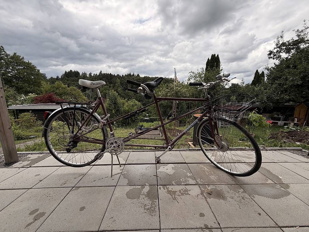 Mit dem Tandem in den Sommer (D'occasion) à Bern pour CHF 200 – retrait ...