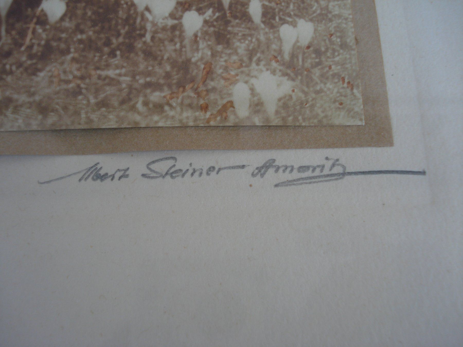 Albert Steiner 1877-1965 (Gebraucht) in Basel für CHF 1700 – nur Abholung auf Ricardo kaufen