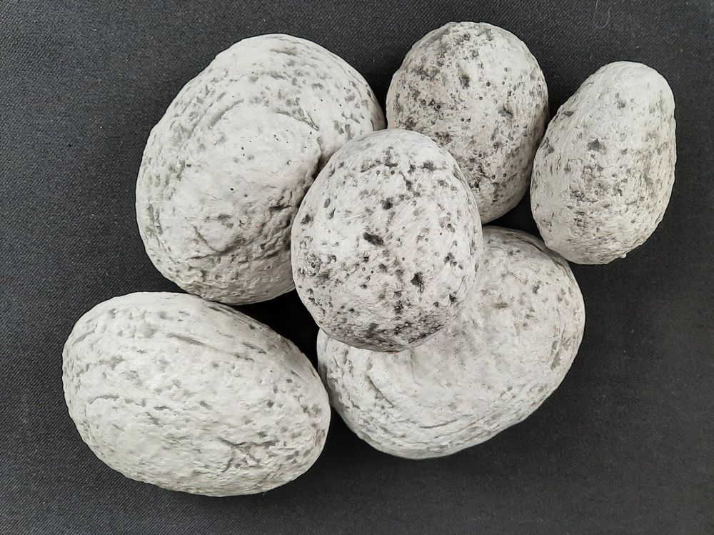 Dekosteine (Gebraucht) in Beinwil am See für CHF 3 – mit Lieferung auf Ricardo kaufen