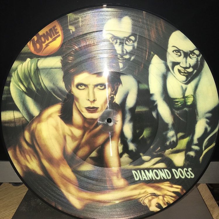 David Bowie, Diamond Dogs - LP Picture Disc | Kaufen auf Ricardo