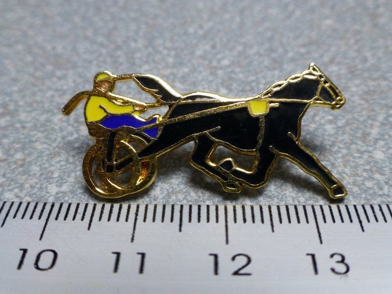 PIN PINS SPORT Reiten Pferdewagen Kutsche Pferd (Gebraucht) in Gränichen für CHF 3 – mit ...