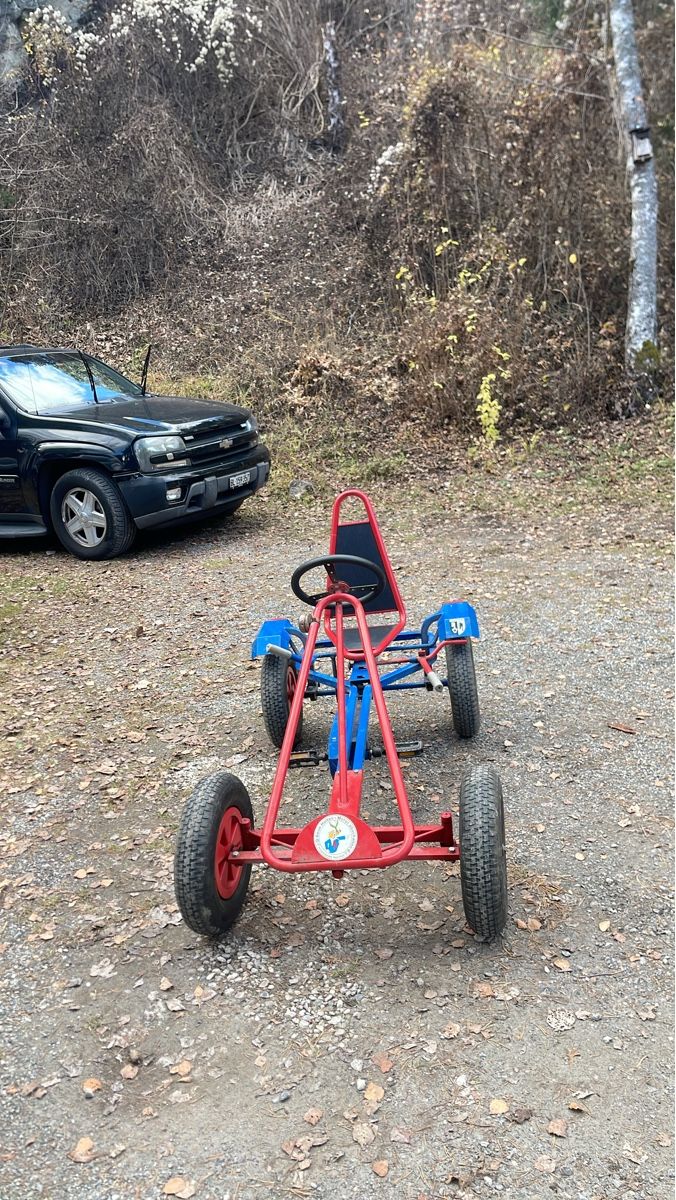 Tretfahrzeug / Go-Kart für Kinder - Super Zustand! (Gebraucht) in ...