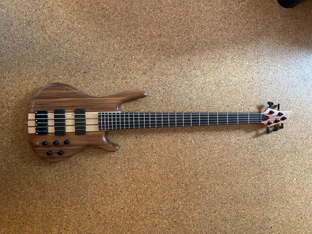Wolf Bass aktiv 5 Saiter (Gebraucht) in Lichtensteig für CHF 200 – nur ...