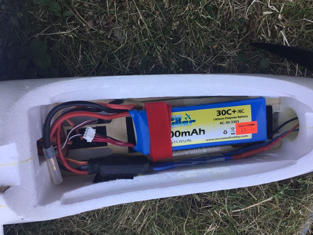 Elektrosegler Robbe Arcus Sport 2,6 m | Kaufen auf Ricardo