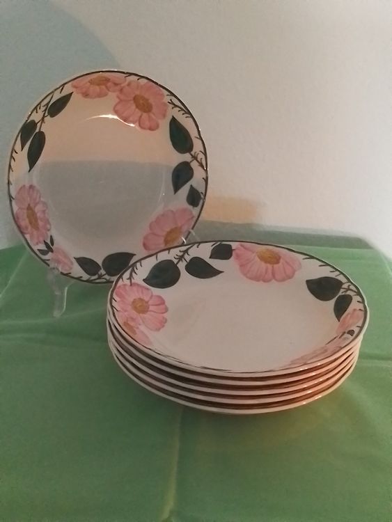 "Wild - Rose" Villeroy& Boch, 6 tiefe Teller, 1 Sauciere | Kaufen auf Ricardo