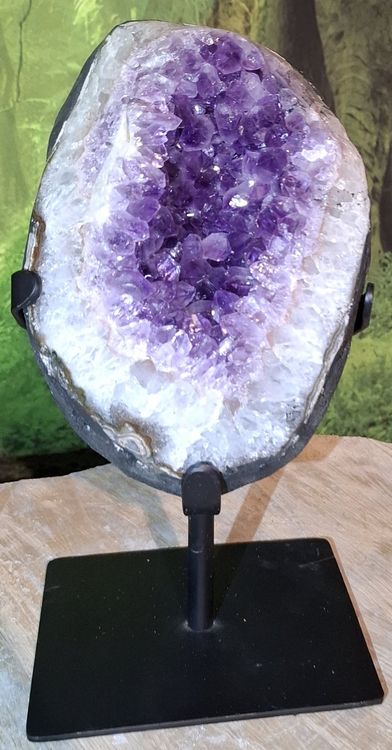 Majestätischer Amethyst auf Präsentationsstütze (4.9Kg) (Neu (gemäss Beschreibung)) in St ...