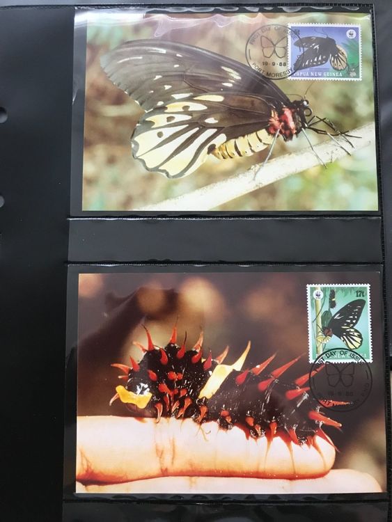 WWF Papua Neuguinea 1988 Schmetterlinge Satz Maximumkarten (Neu (gemäss Beschreibung)) in ...