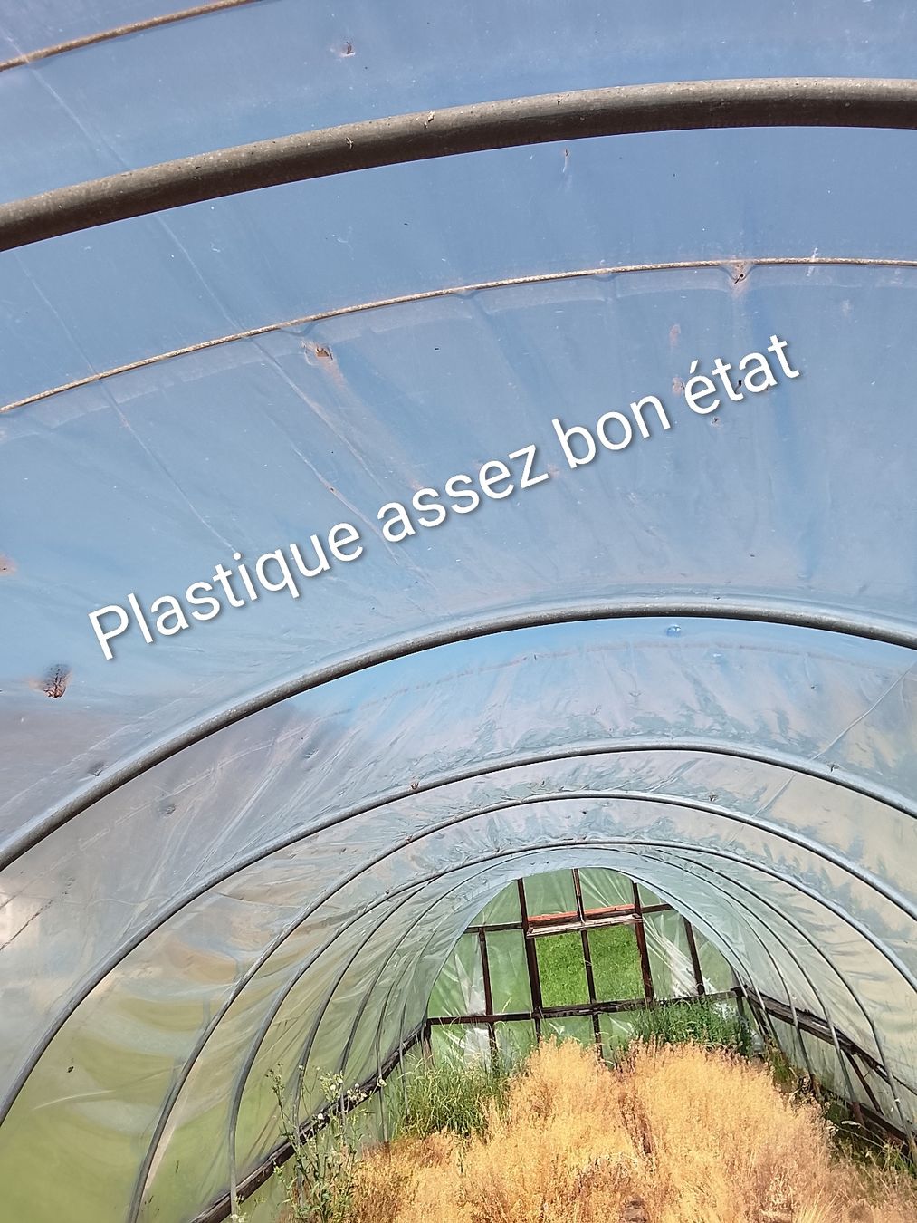 Serre jardin 11m x 3.50m x 2.20m, plastique bon état (Gebraucht) in ...