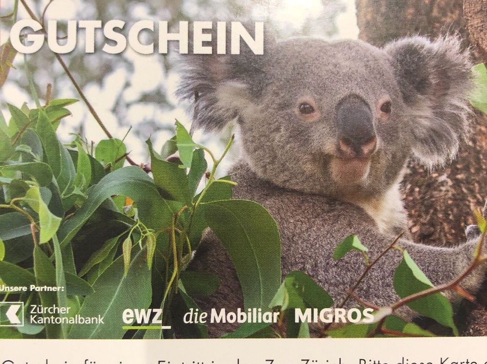 Zoo Zooh Zürich 3x Eintritt Gutscheine (Neu und originalverpackt) in Muri für CHF 24 – mit ...