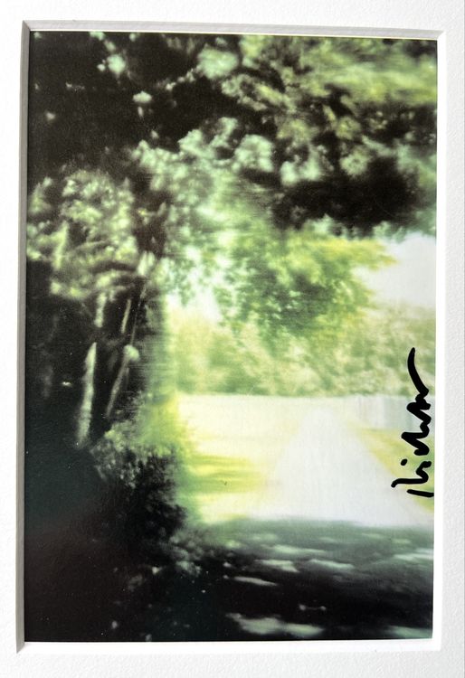 Gerhard Richter, handsigniert (Gebraucht) in St. Gallen für CHF 199 ...