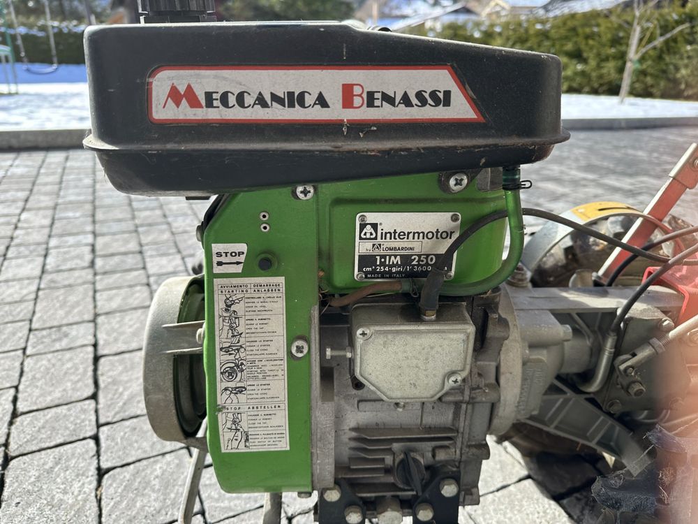 Meccanica Benassi Kreiselmulcher Motorhacke (Gebraucht) in Vättis für ...