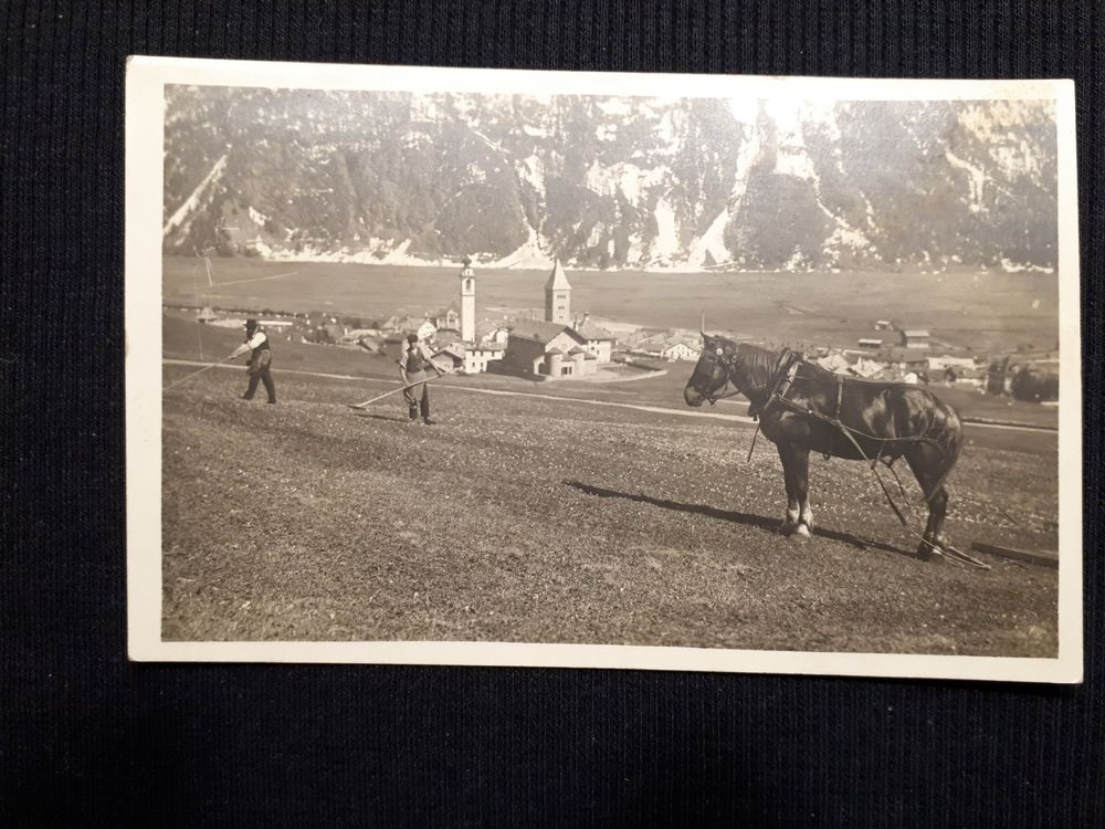 SAMADEN 1933 - MIT PFERD UND ANIMIERT (Gebraucht) in Ponto Valentino ...