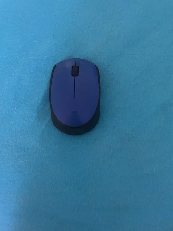 Pc maus (Gebraucht) in Brügg BE für CHF 2 – mit Lieferung auf Ricardo ...