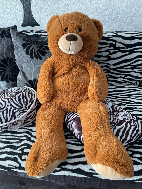 Plüsch Teddy ca. max. 1m (Neu (gemäss Beschreibung)) in Lenzburg für ...
