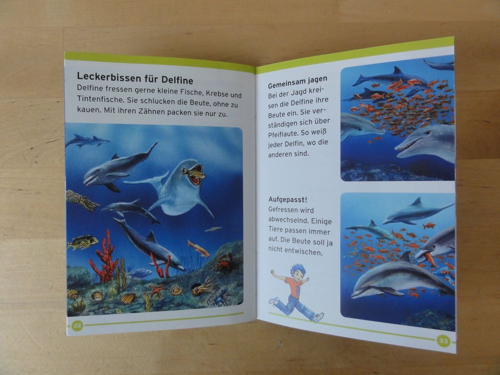 BENNY BLUE Kinderleicht Wissen (Neu (gemäss Beschreibung)) in Zürich ...