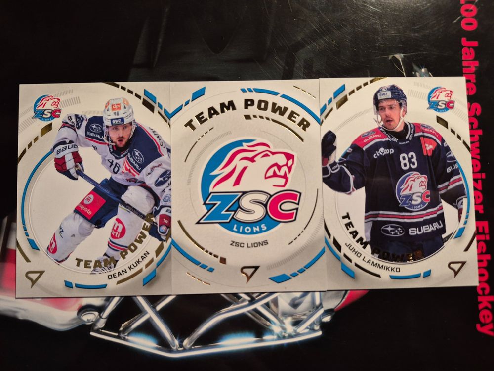 ZSC Lions Team Power 2024/25 Sportzoo 2 (Gebraucht) in Treiten für CHF ...