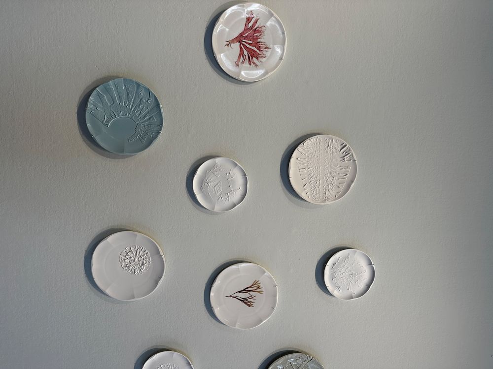 500€ voucher SAS flights | Kaufen auf Ricardo