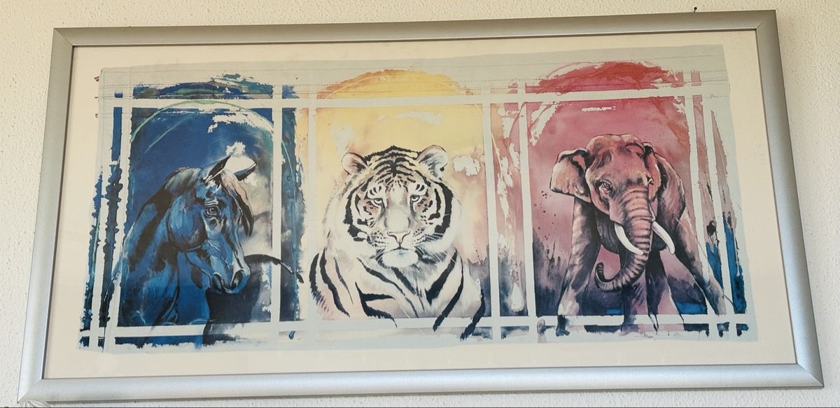 Rolf Knie Bild, inkl Rahmen 1,03 x 0,54 Meter (Gebraucht) in St. Antoni ...