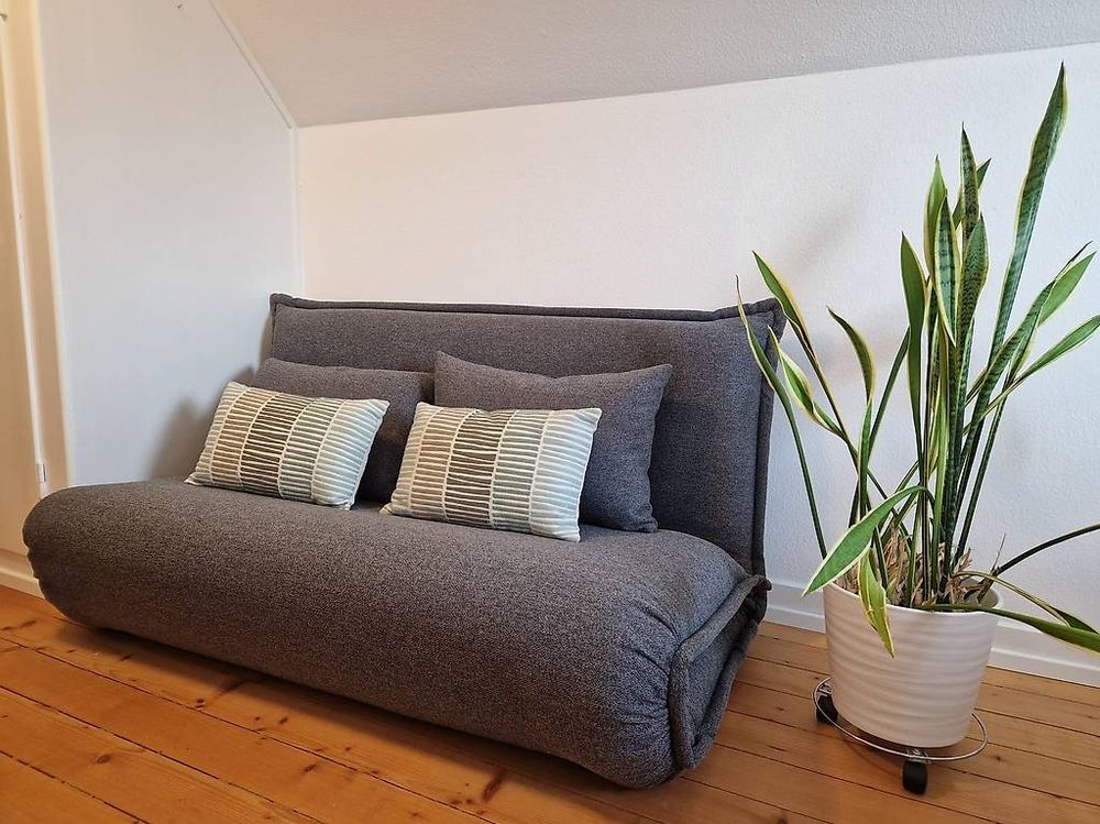 Bettsofa in Top-Zustand zu verkaufen (Gebraucht) in Udligenswil für CHF ...