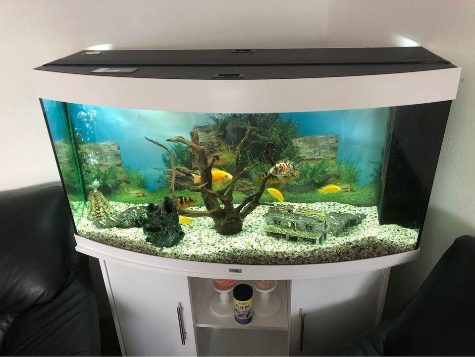 Aquarium 250l | Kaufen auf Ricardo
