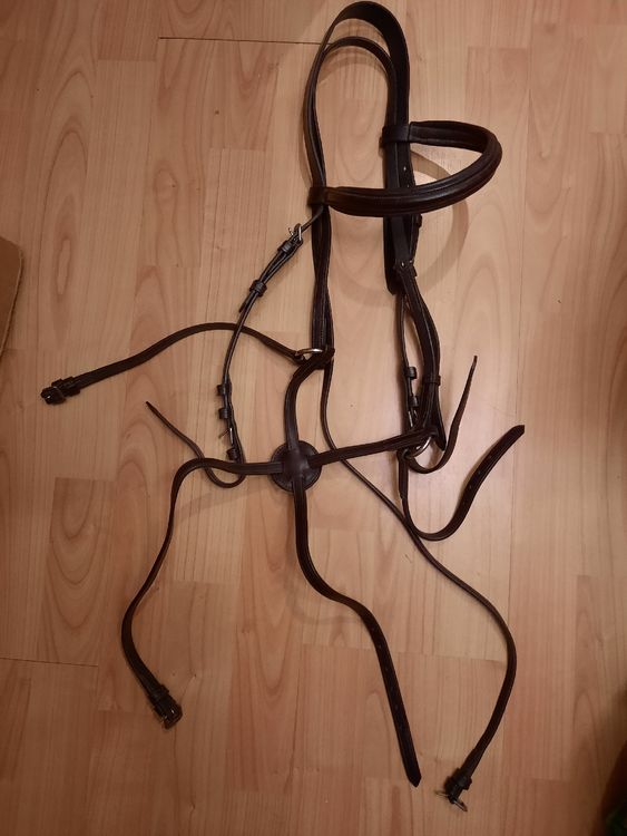Neuer mexikanischer Zaum (Neu (gemäss Beschreibung)) in Malans GR für ...