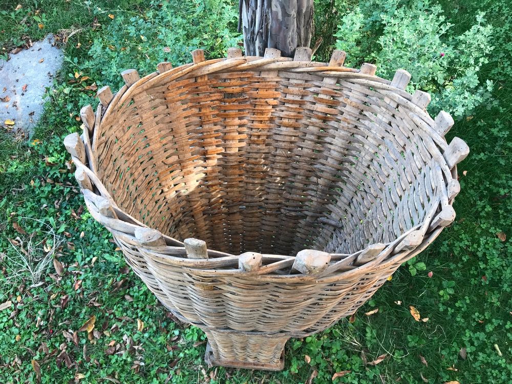 Gerla | Kaufen auf Ricardo