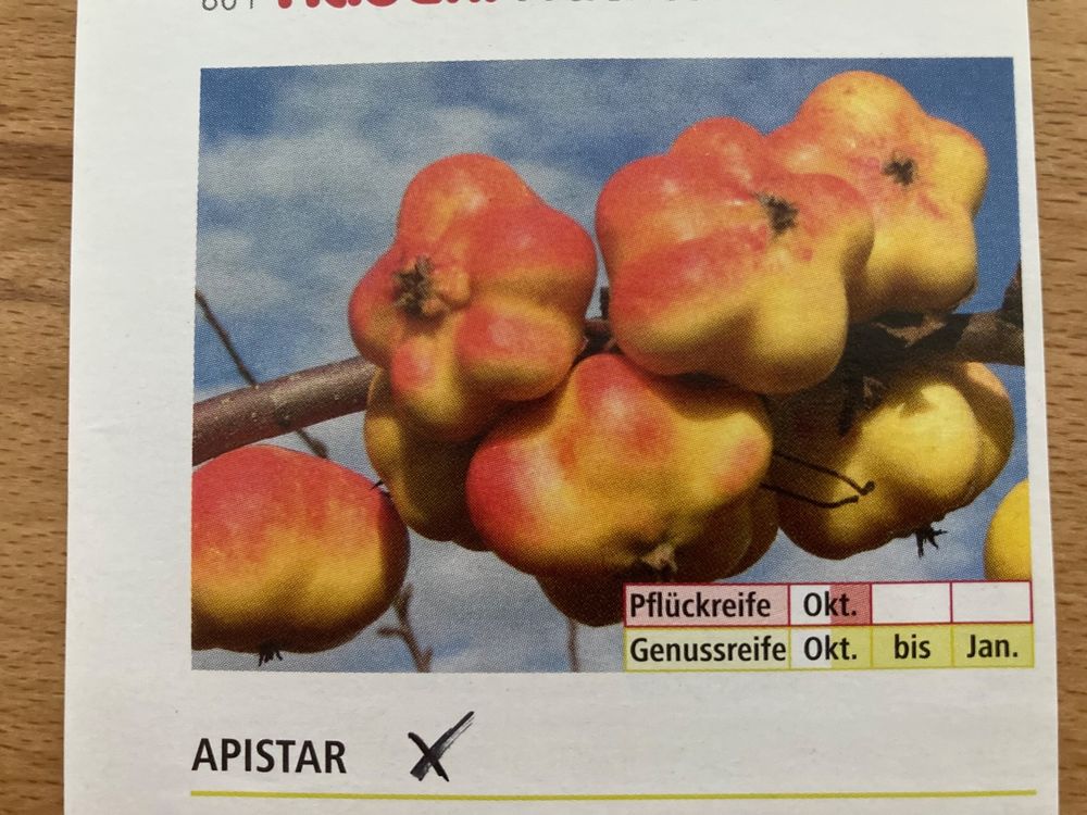 Apfelbaum Apistar, Spalier | Kaufen auf Ricardo