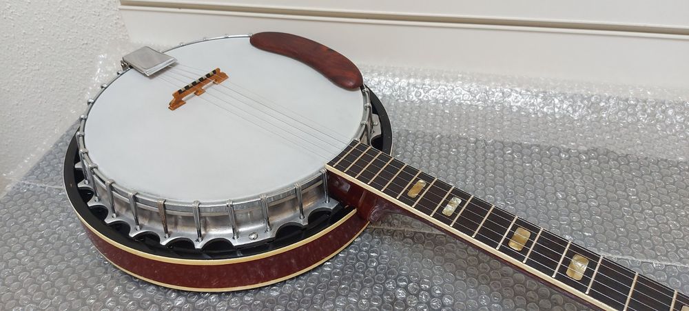 5-Strings Banjo Delta aus 90er Jahre Korean (Gebraucht) in Glattbrugg ...