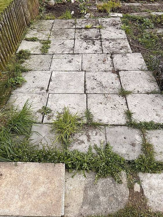 Gartenplatten (Steinplatten) (Gebraucht) in für CHF 1 – nur Abholung ...