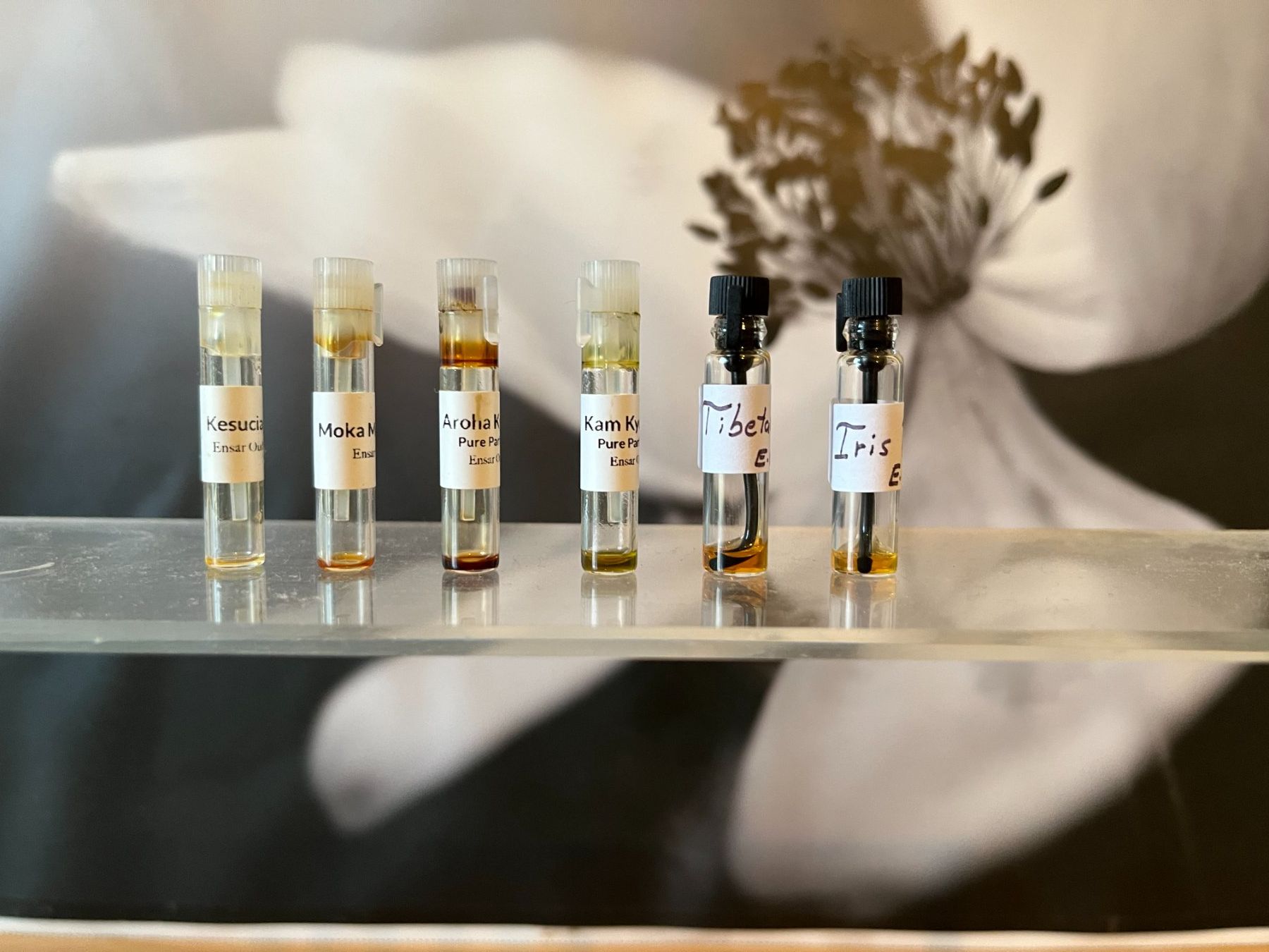 ENSAR OUD - KIT DÉCOUVERTE (Gebraucht) in Sierre für CHF 28.9 – mit ...