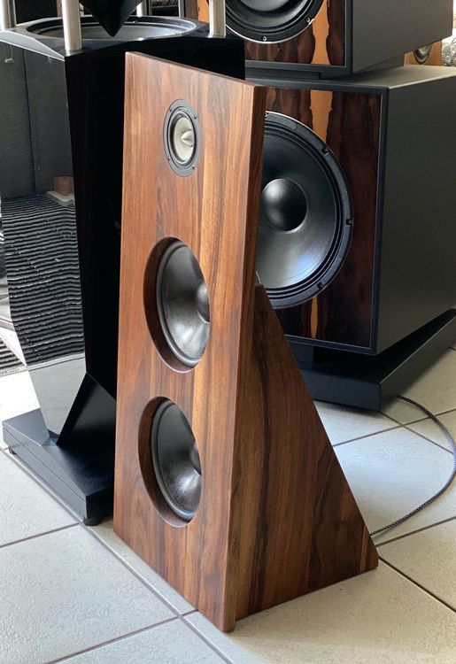 „Open Baffle“ Design Standlautsprecher (Gebraucht) in Rickenbach SZ für ...