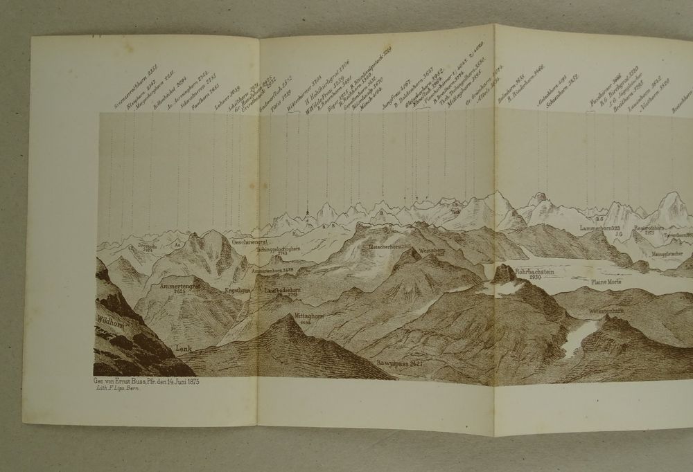 PANORAMA VOM WILDHORN, 1876 | Kaufen auf Ricardo