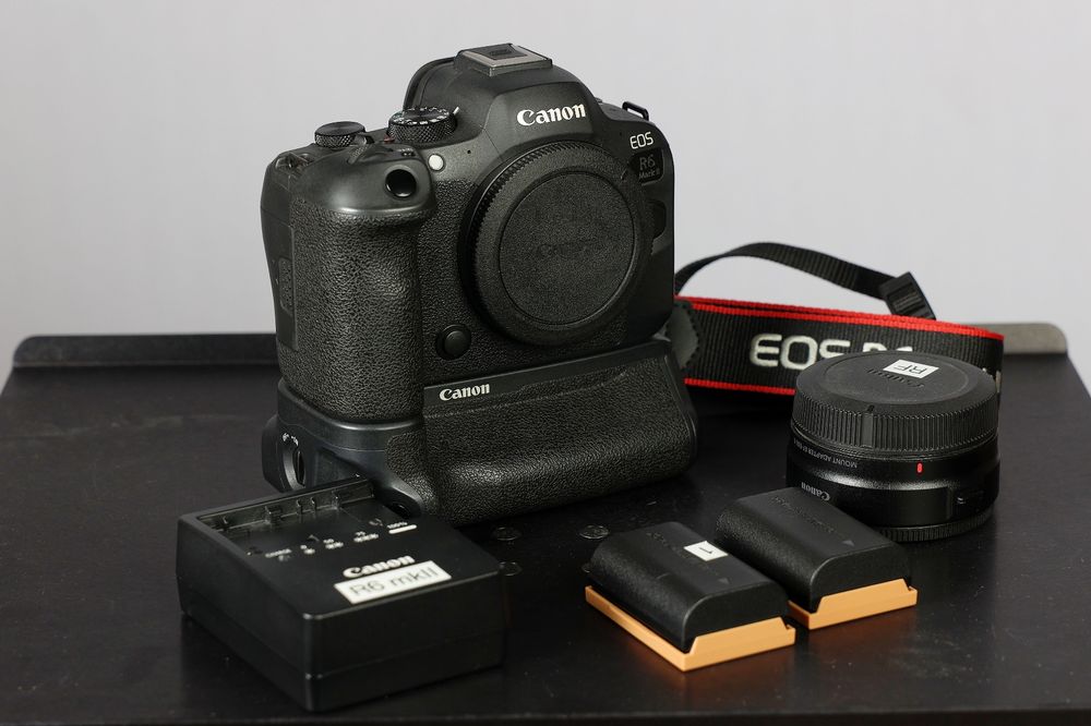 Canon R6 mkII (D'occasion) à Villaz-St-Pierre pour CHF 1500 – avec ...