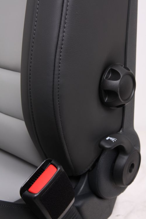 R50 R52 R53 MINI RECARO Sitz Sportsitz Ledersitz seat JCW (Gebraucht ...