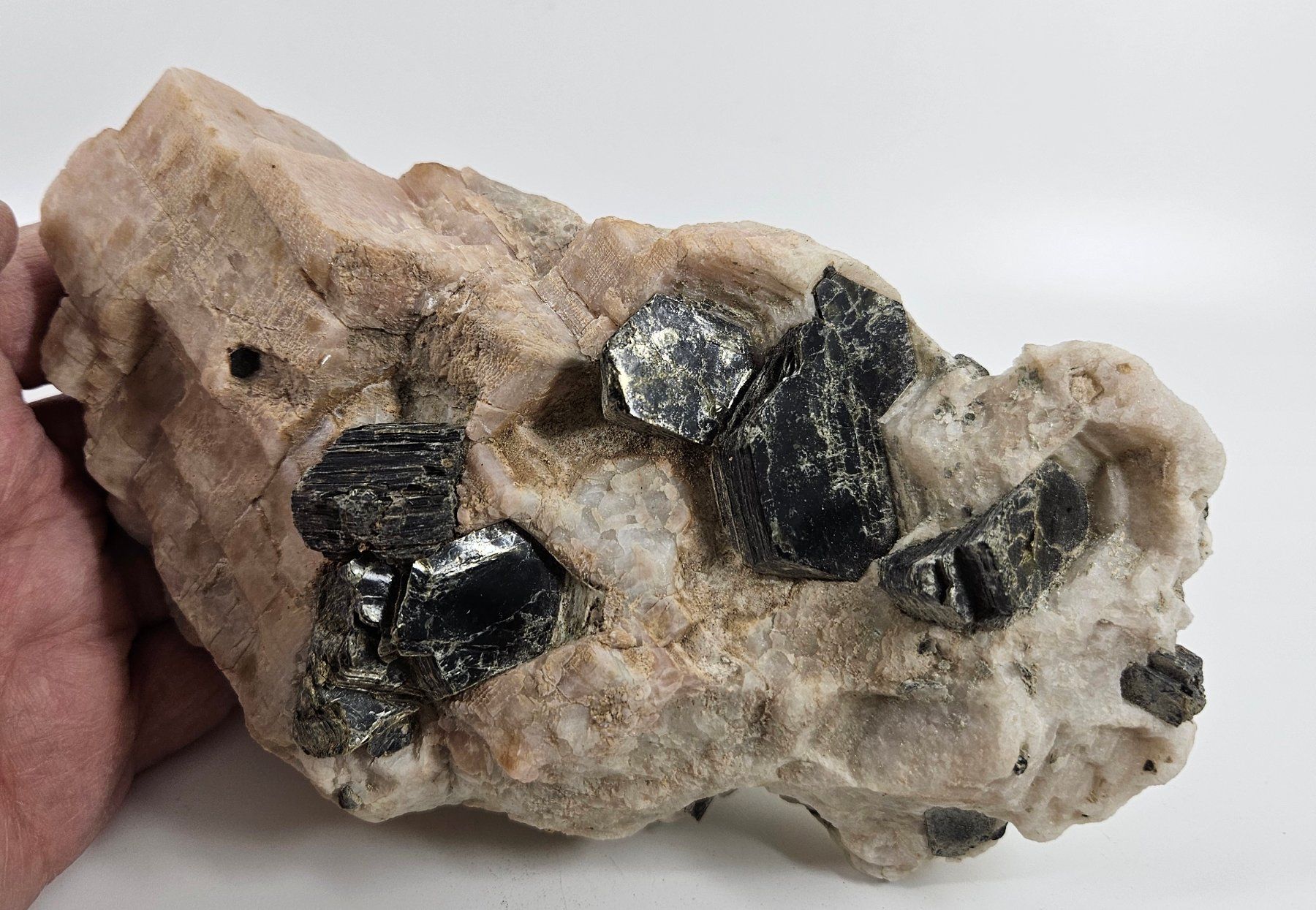 Gestein mit mehreren eingebetteten Biotitkristallen. (Gebraucht) in ...