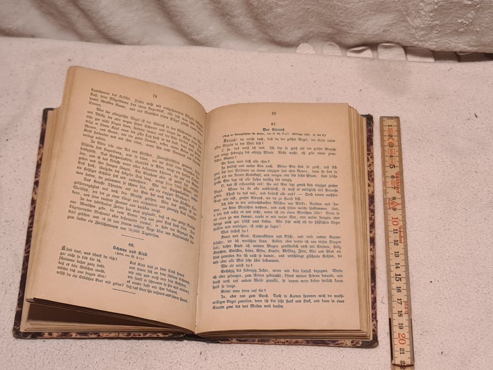 Buch 1880, Rarität, antik, sehr alt dementsprechend schön | Kaufen auf ...