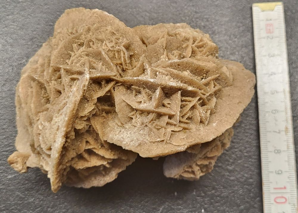 Wunderschöne Sandrose | Kaufen auf Ricardo