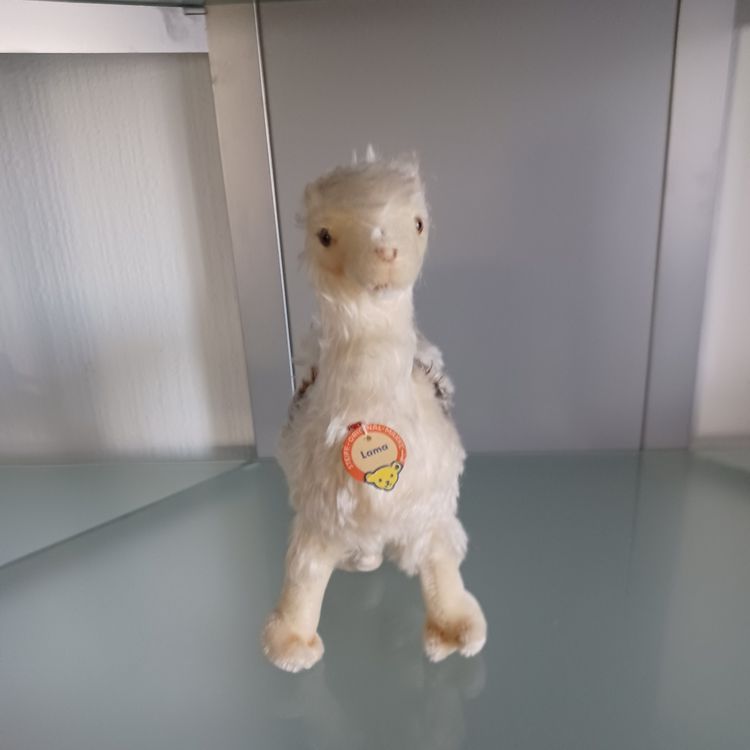 Lama von Steiff 28 cm gross um 1960 (Gebraucht) in Abtwil SG für CHF 55 ...