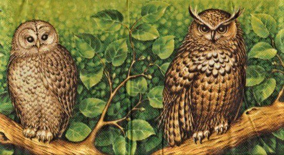 2 Servietten Eule gross | Kaufen auf Ricardo