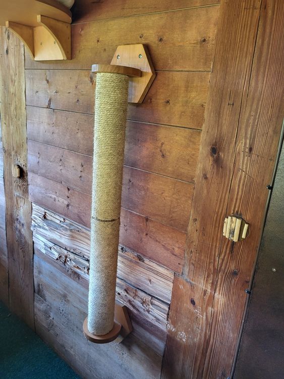 Kratzstamm Wandelement für Katzen (Gebraucht) in für CHF 25 – mit ...