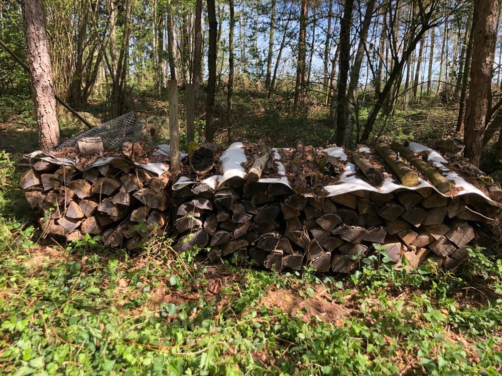 Brennholz ca. 1.5 Ster (Gebraucht) in Wil SG für CHF 88 – nur Abholung ...