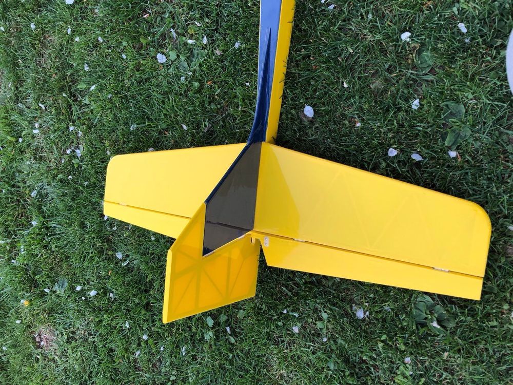 Elektrosegler Riser 100 von SIG (Neu (gemäss Beschreibung)) in ...