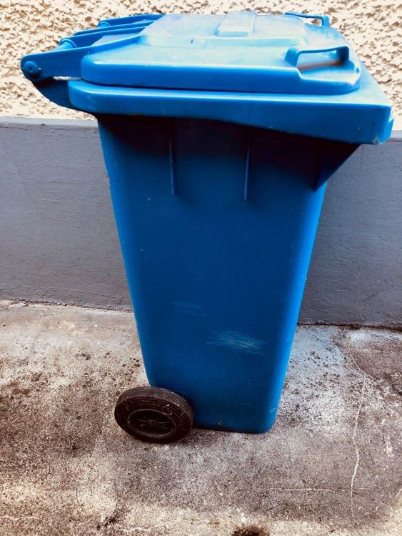 Container 120 lt / 60 Kg (Gebraucht) in Erschmatt für CHF 11 – nur ...