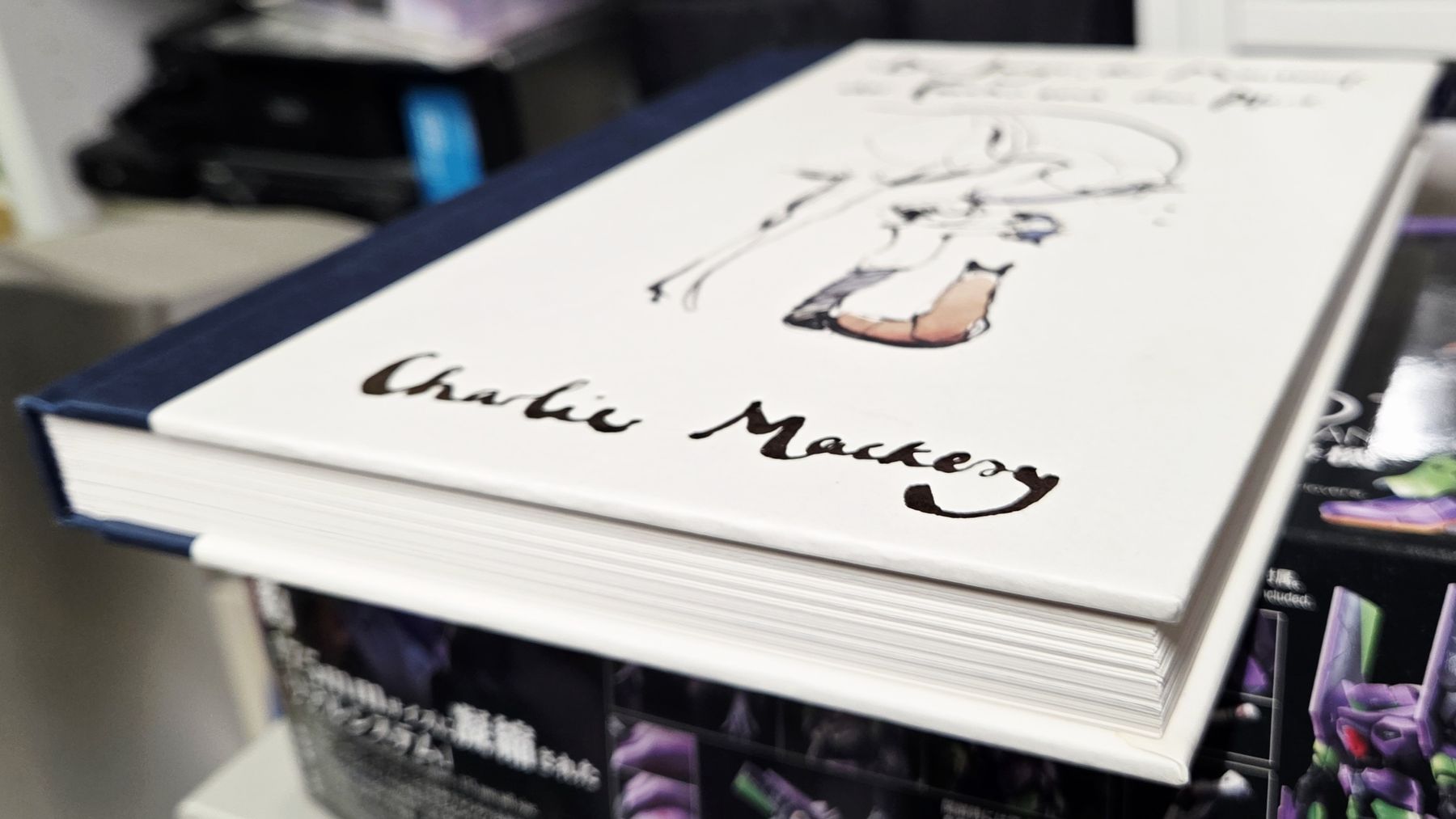 Der Junge, der Maulwurf, der Fuchs und das Pferd - C Mackesy (Neu ...