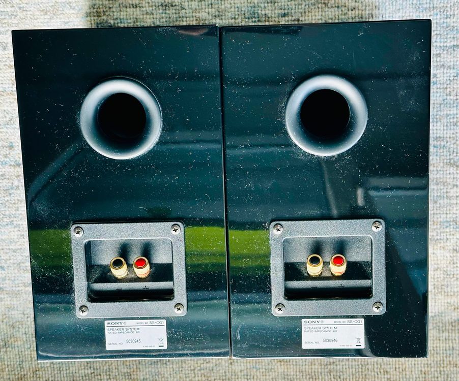 Sony Micro Hi-Fi Component System CMT-G2NiP (Gebraucht) in Bonstetten ...