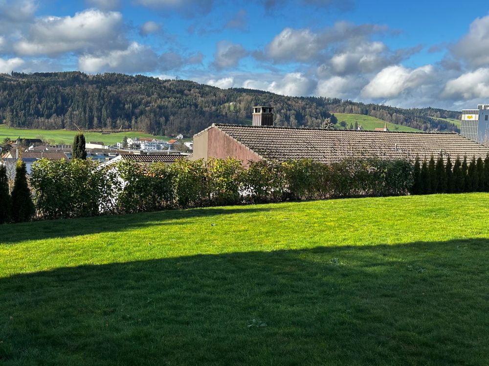 Red-Robin Hecke/Busch (Gebraucht) in Nebikon für CHF 20 – nur Abholung ...